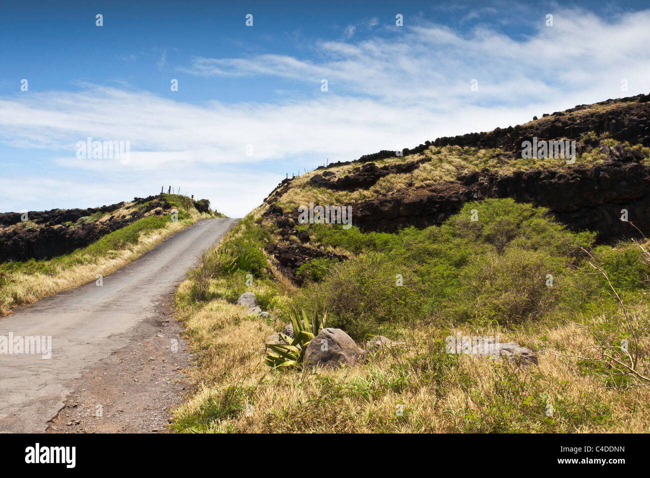 Piilani hi-res stock photography and images - Alamy