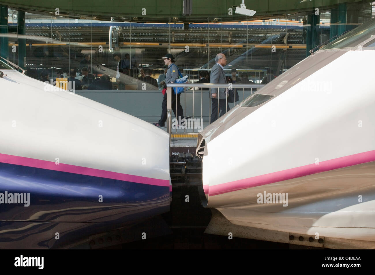 Bullet train cars coupled together and people on platform at Tokyo ...