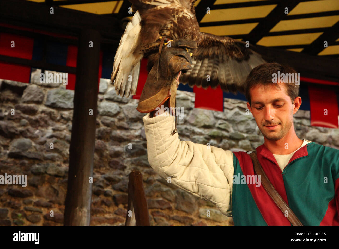 Man with hawk, knight with traditional costume Stock Photo - Alamy