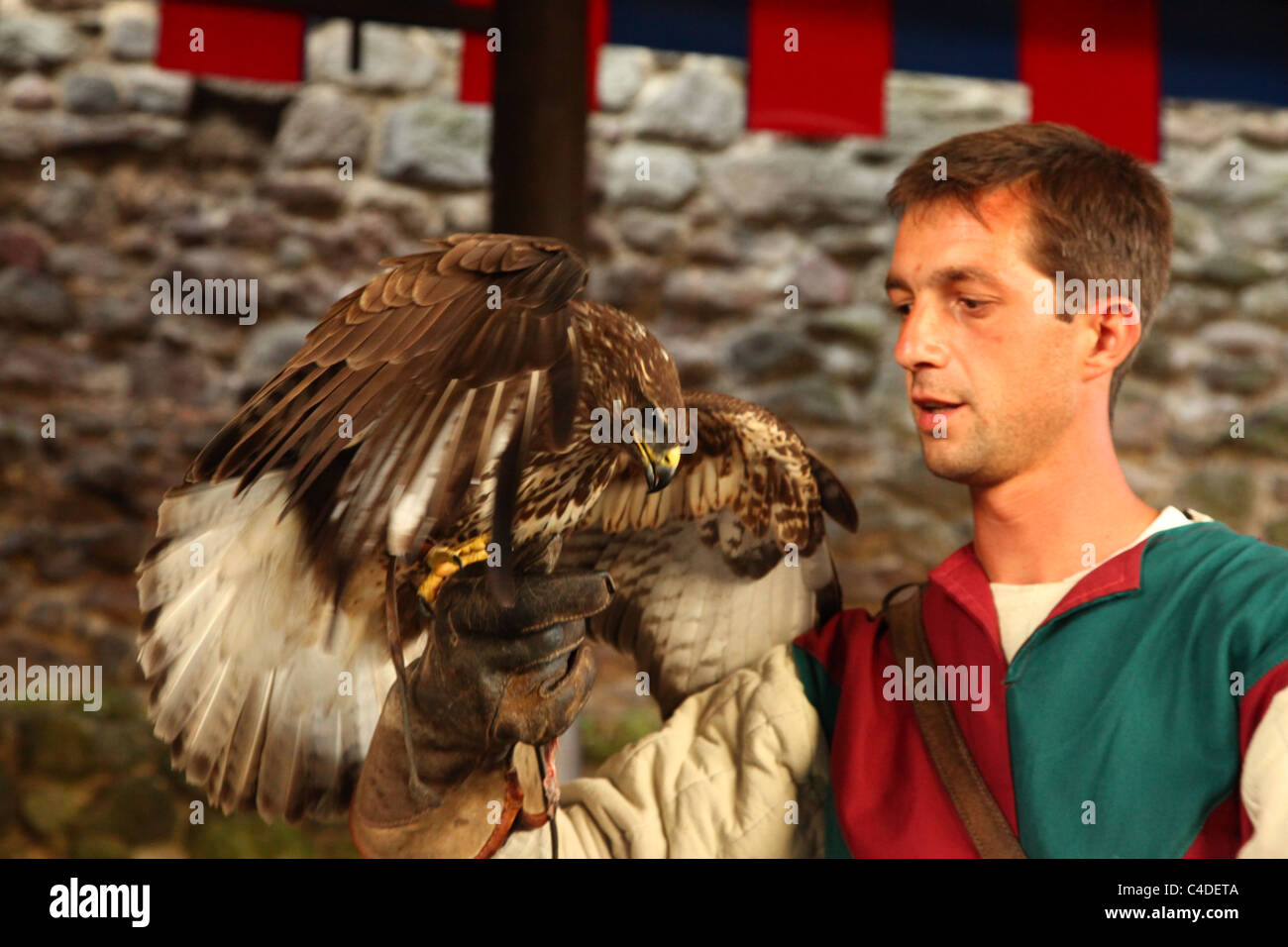 Man with hawk, knight with traditional costume Stock Photo - Alamy