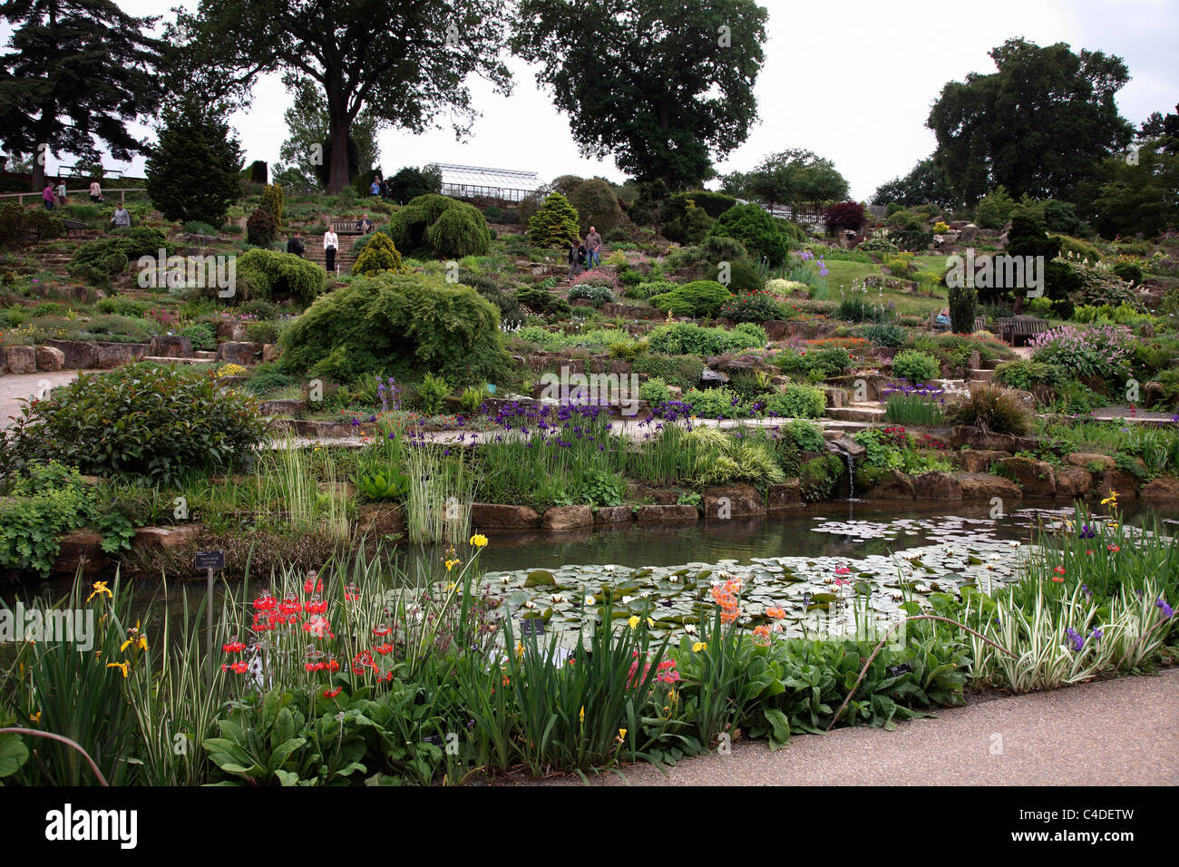 The Rock garden at RHS Wisley in May Stock Photo - Alamy