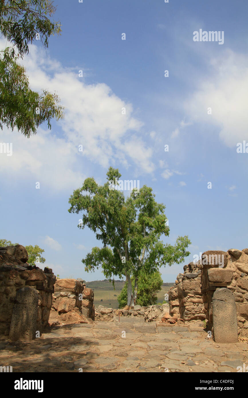 Israel, Sea of Galilee, the city gate of ancient Bethsaida, destroyed ...