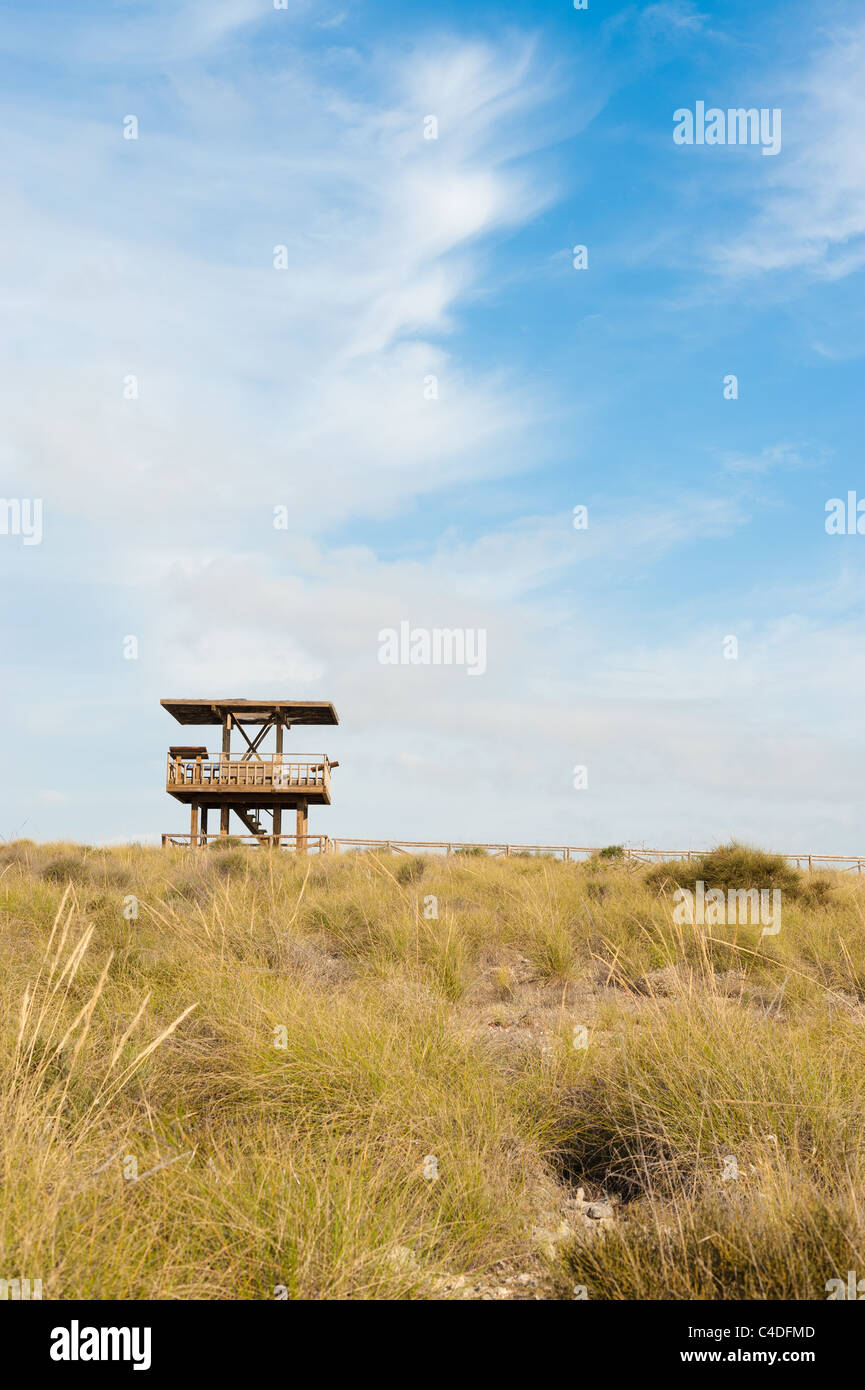 Wooden wildlife watchtower in the middle of a natural park Stock Photo ...