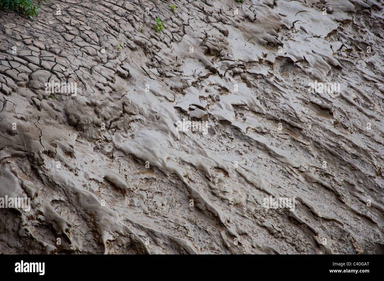 Tidal river mud Stock Photo - Alamy
