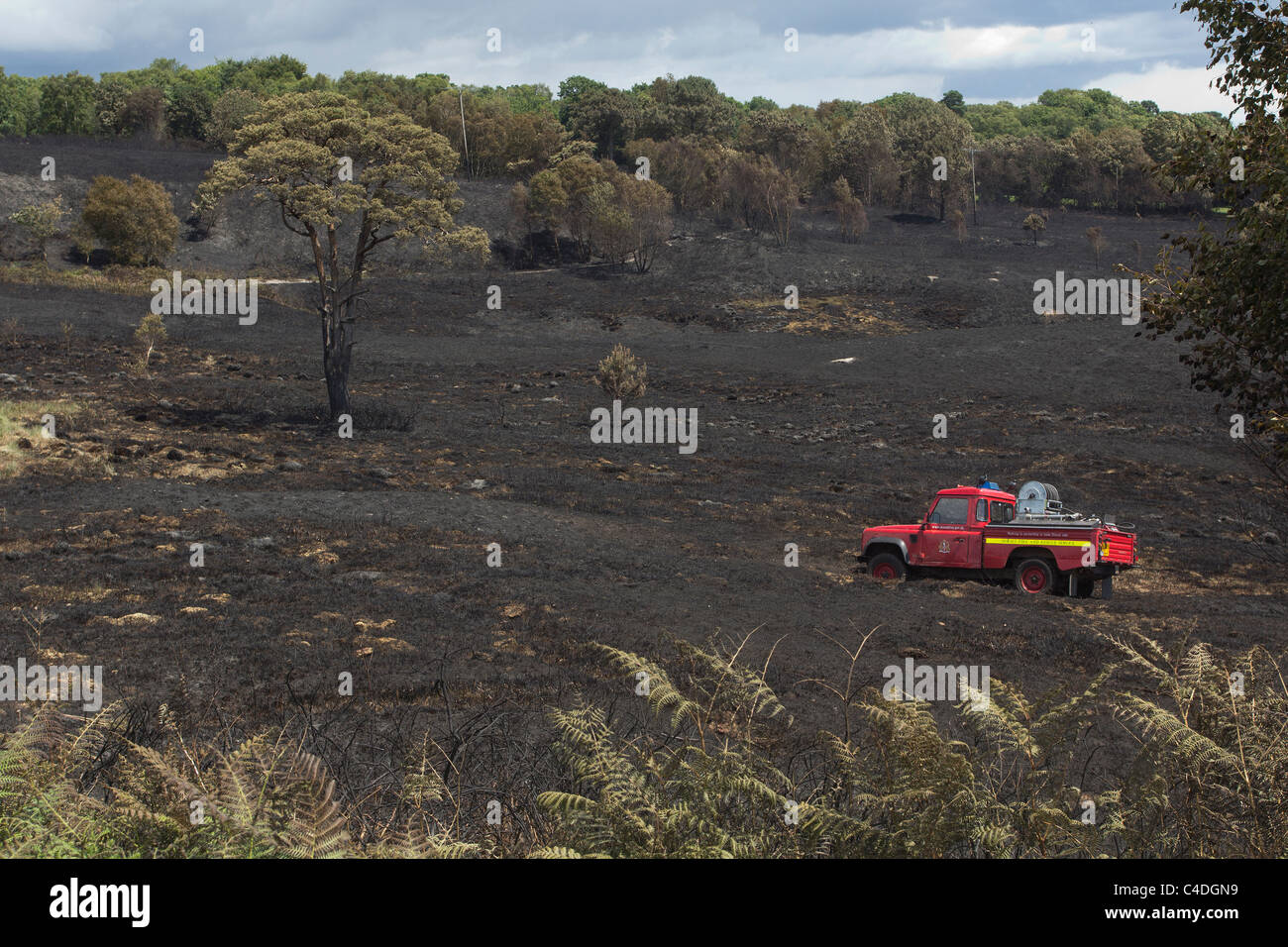 Aftermath of the Upton Heath fire. Poole, Dorset, UK Stock Photo - Alamy