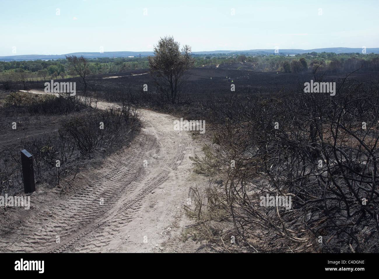 Aftermath of the Upton Heath fire. Poole, Dorset, UK Stock Photo - Alamy
