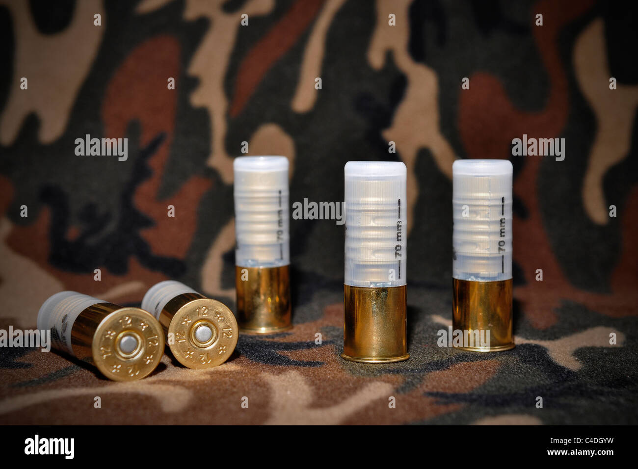 Shotgun shells used in hunting Stock Photo - Alamy
