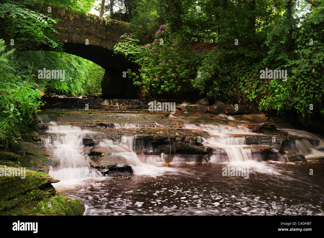 Woodland view waterfall bridge hi-res stock photography and images - Alamy