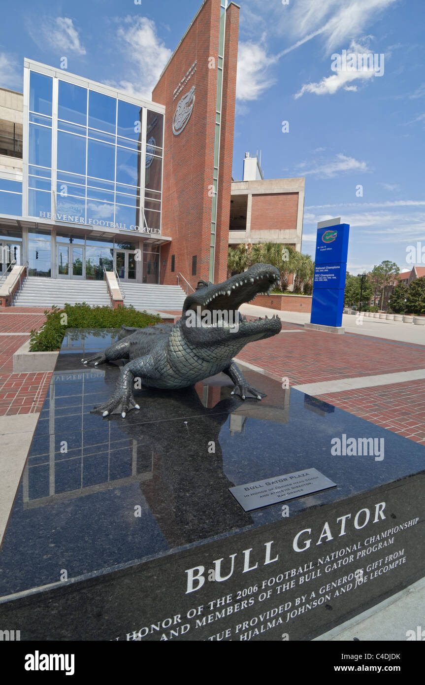 Florida gators statue hi-res stock photography and images - Alamy