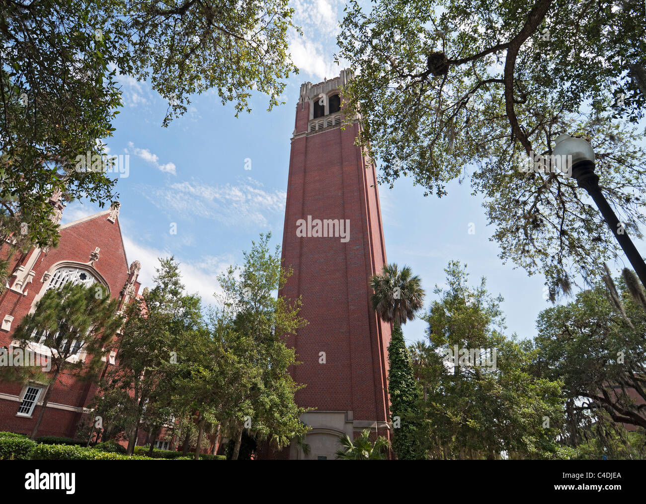 The Century Tower on the University of Florida campus Gainesville ...