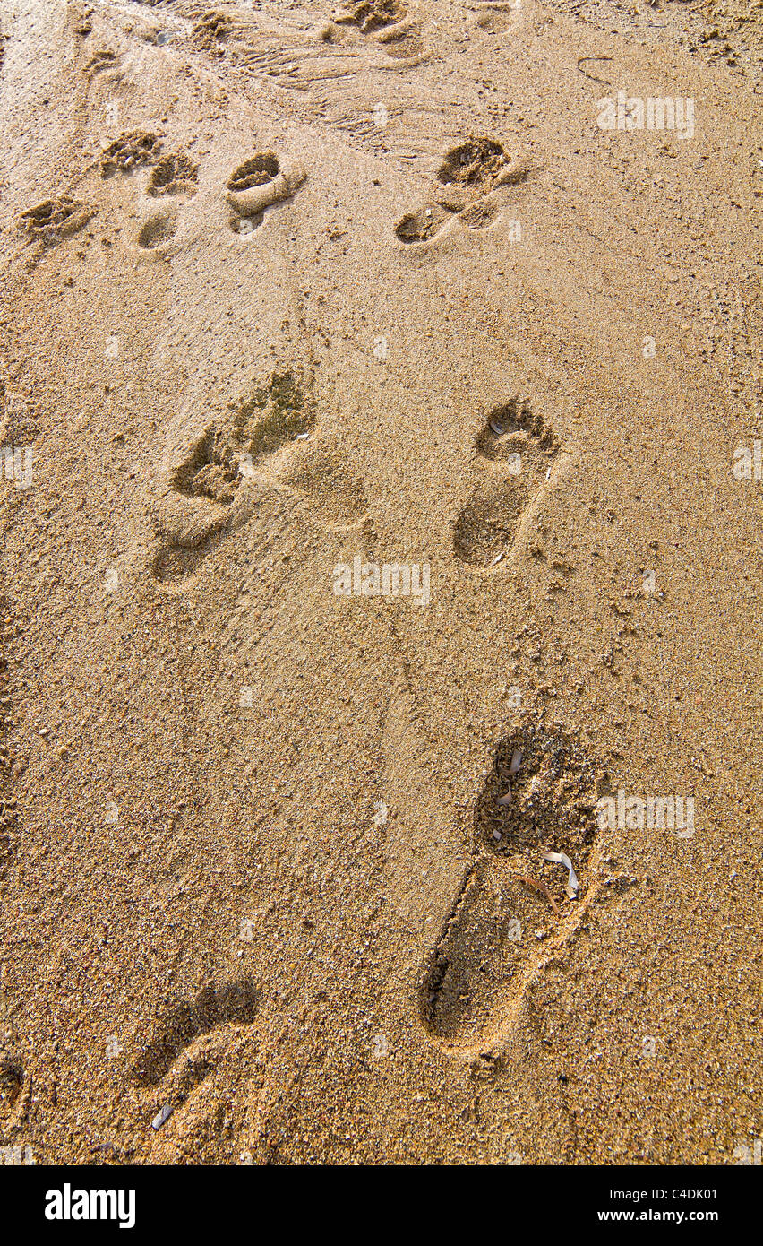 Footsteps on the sand at the beach as texture Stock Photo - Alamy