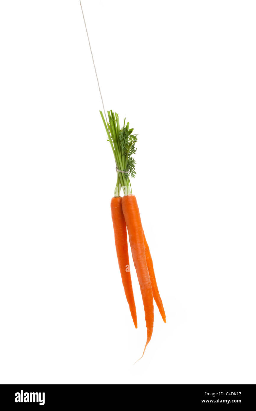 Dangling carrot with white background Stock Photo - Alamy