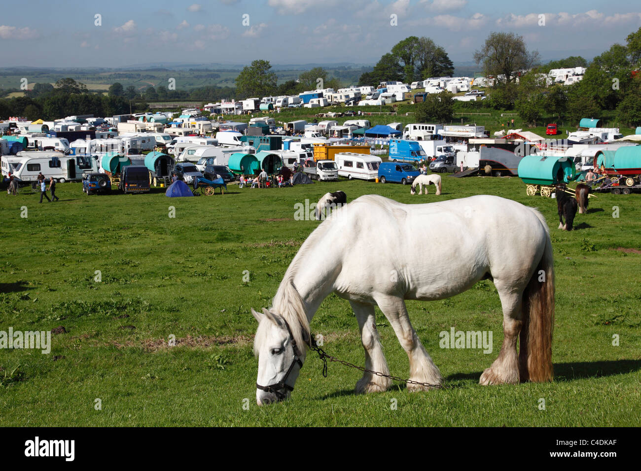 Appleby horse fair traditional caravans hi-res stock photography and ...