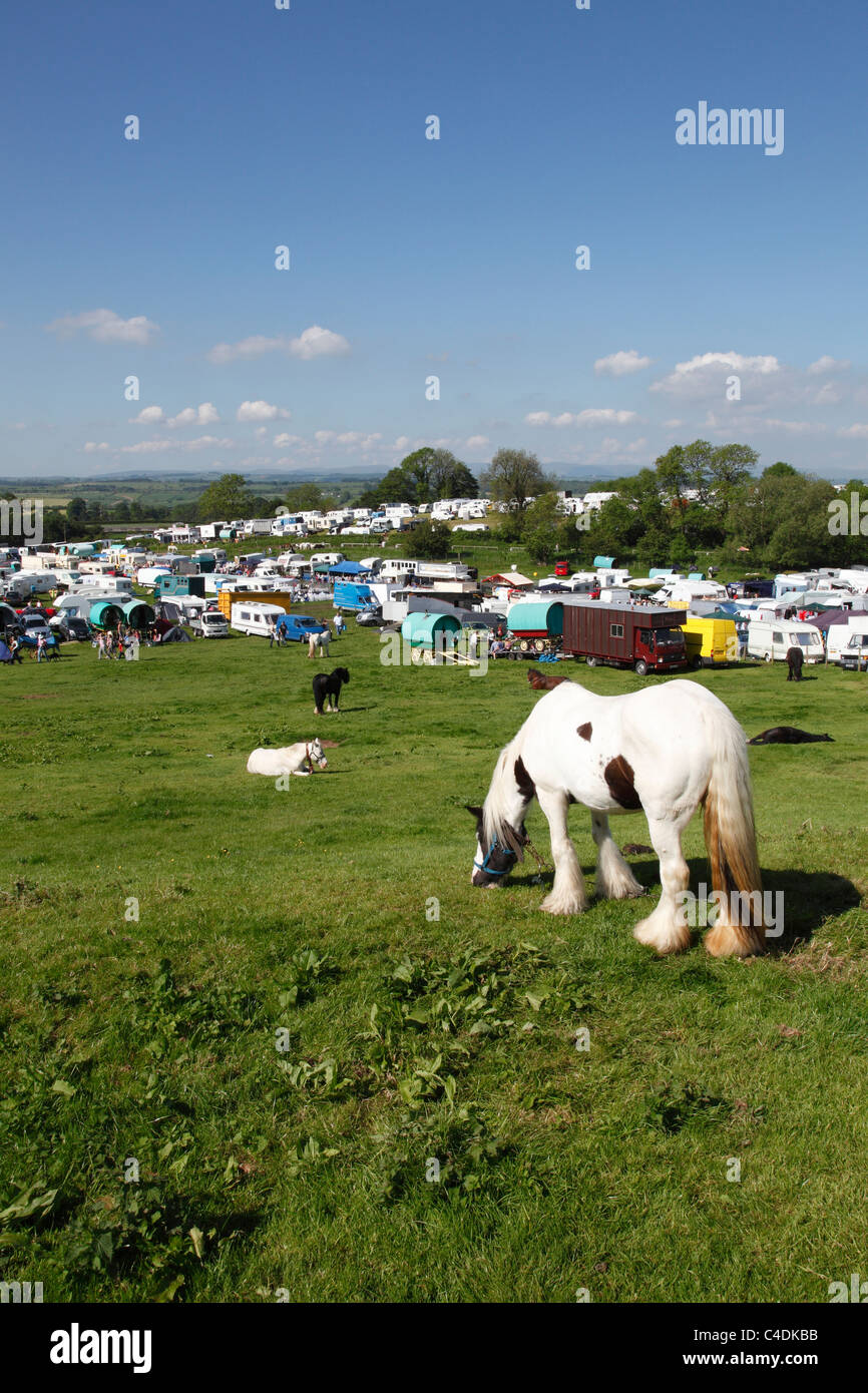 Appleby Horse Fair, Appleby-In-Westmorland, Cumbria, England, U.K Stock ...