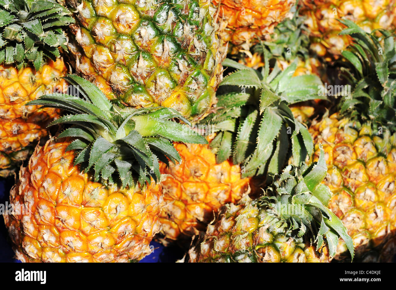 Closeup view of ripe golden pineapple fruits in a stack Stock Photo - Alamy