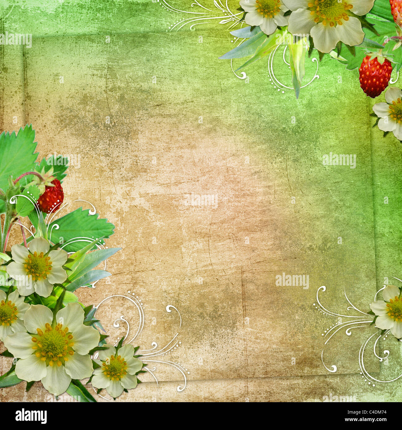 Summer Card for Congratulation to the holiday with flowers Stock Photo ...