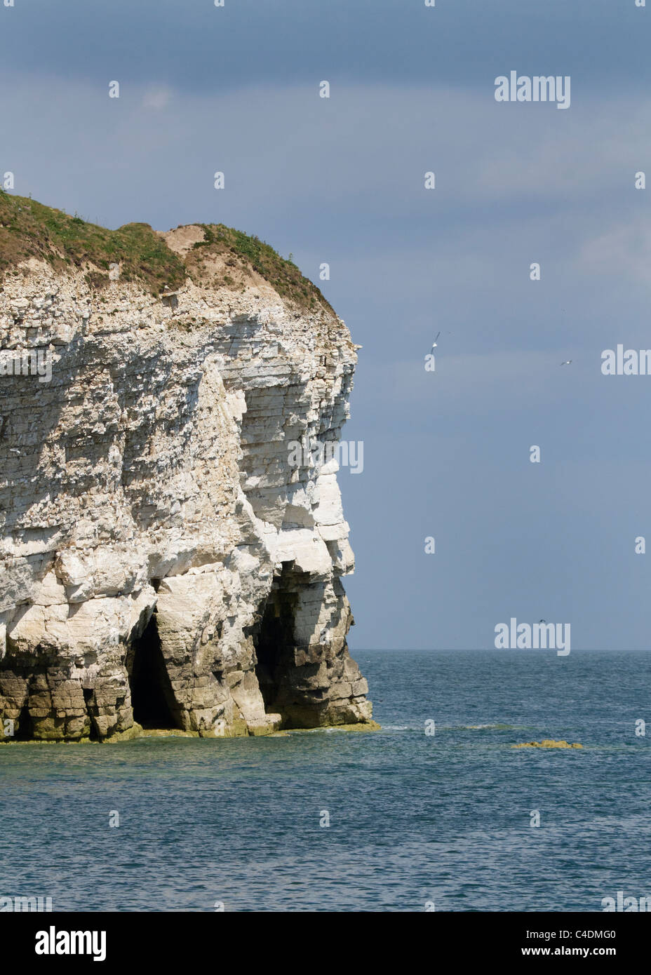 Flamborough head beautiful Yorkshire Coastline scenic coast Stock Photo ...