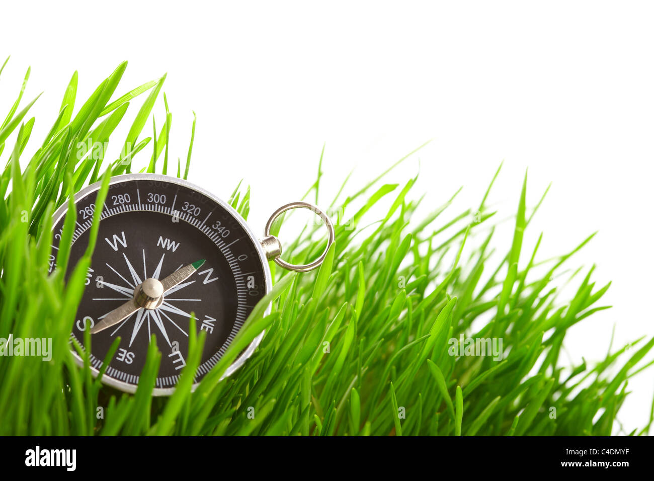 compass in green grass Stock Photo - Alamy