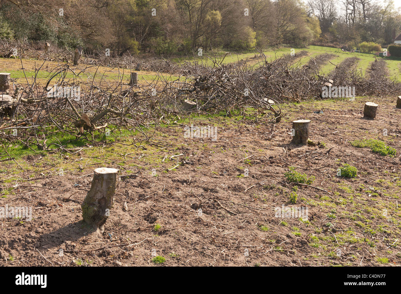 Destroyed Garden High Resolution Stock Photography and Images - Alamy