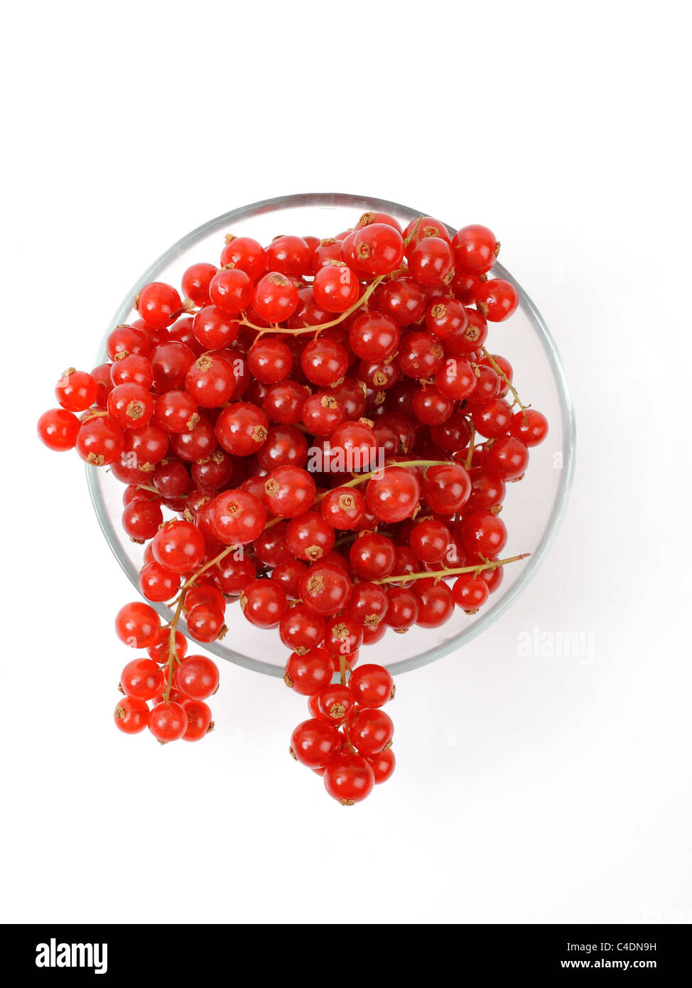 Red currant in a glass cup on a white background Stock Photo - Alamy