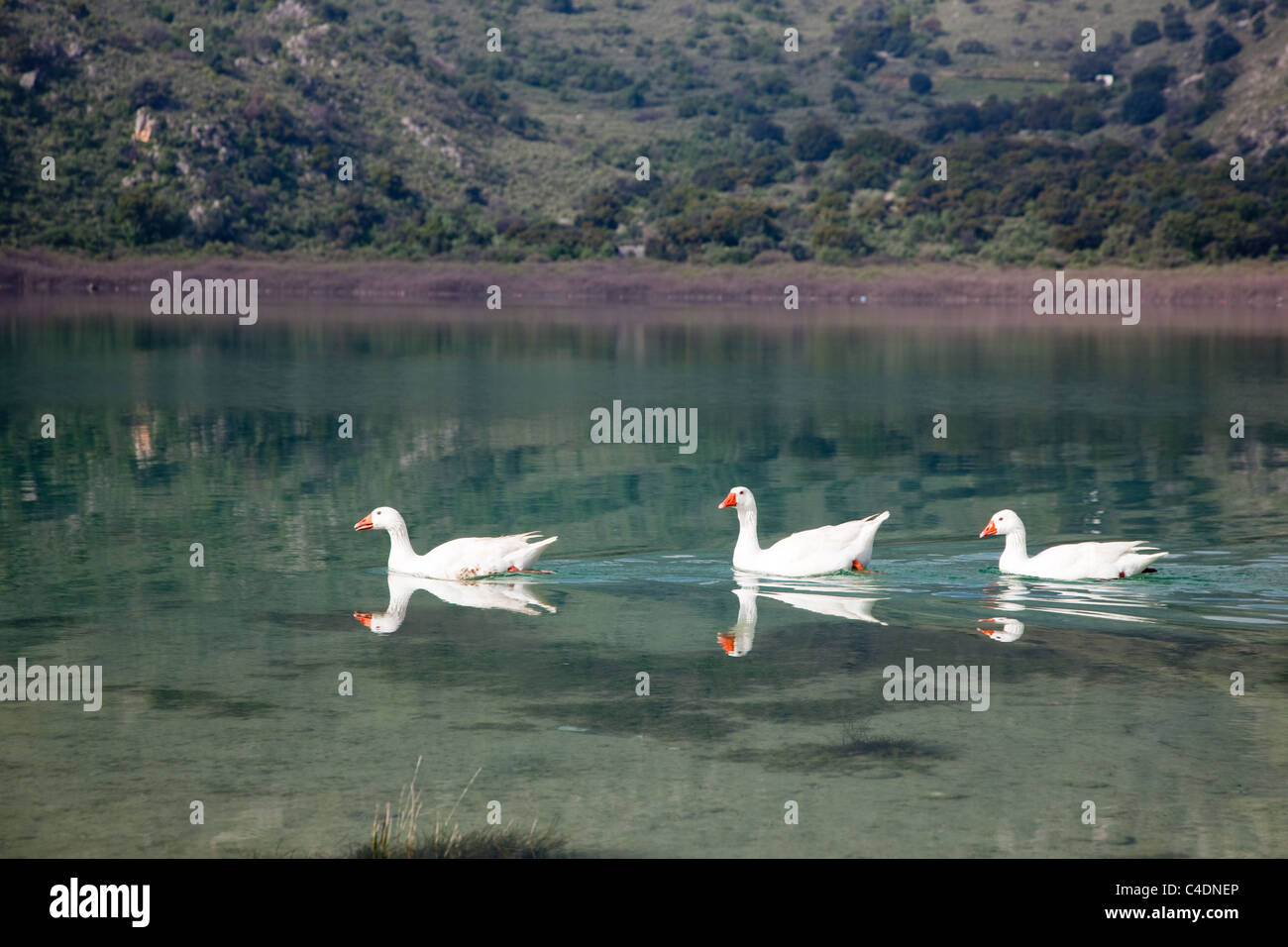 Greece Crete Island Lake Kournas Stock Photo - Alamy