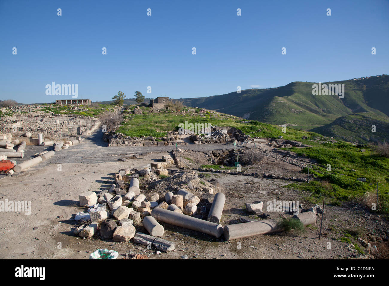 Israel Sussita Hippos Stock Photo - Alamy