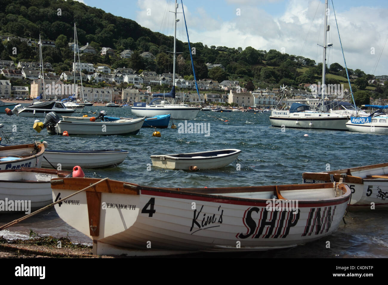 Shaldon devon hi-res stock photography and images - Alamy