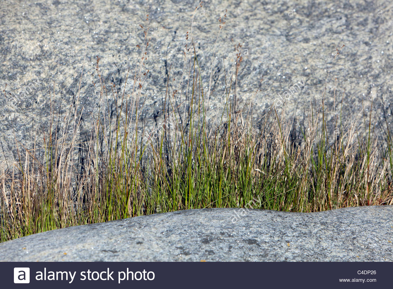 Hard And Soft Rock Stock Photos & Hard And Soft Rock Stock Images - Alamy