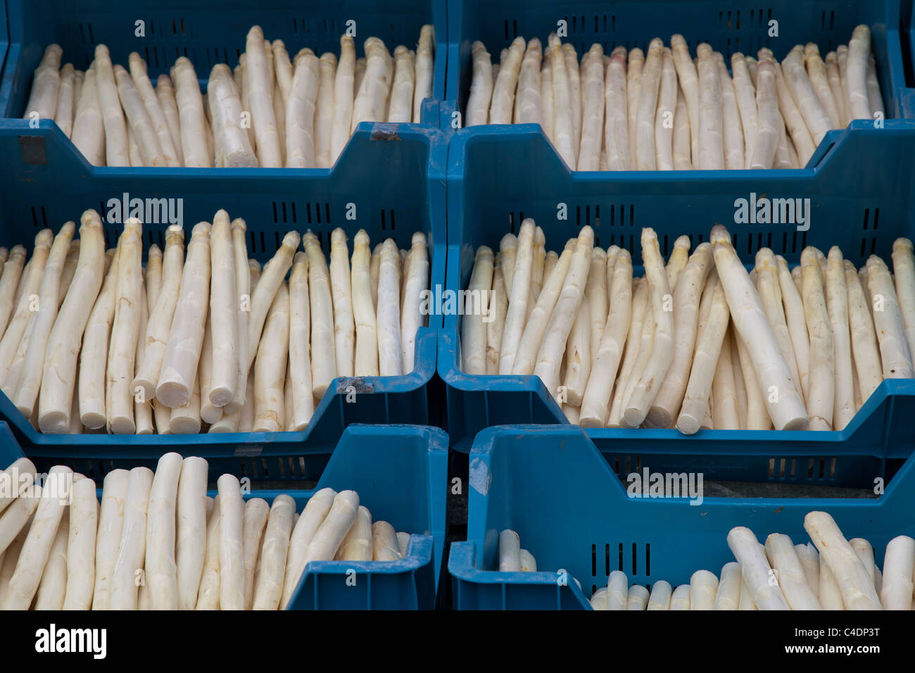 asparagus in boxes Stock Photo - Alamy