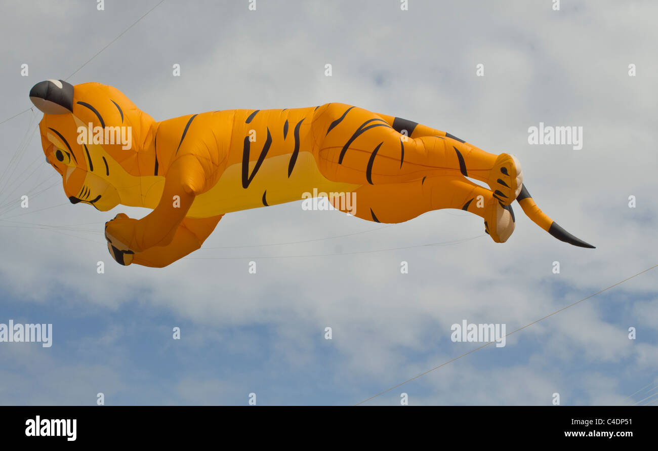 Tiger kite hi-res stock photography and images - Alamy
