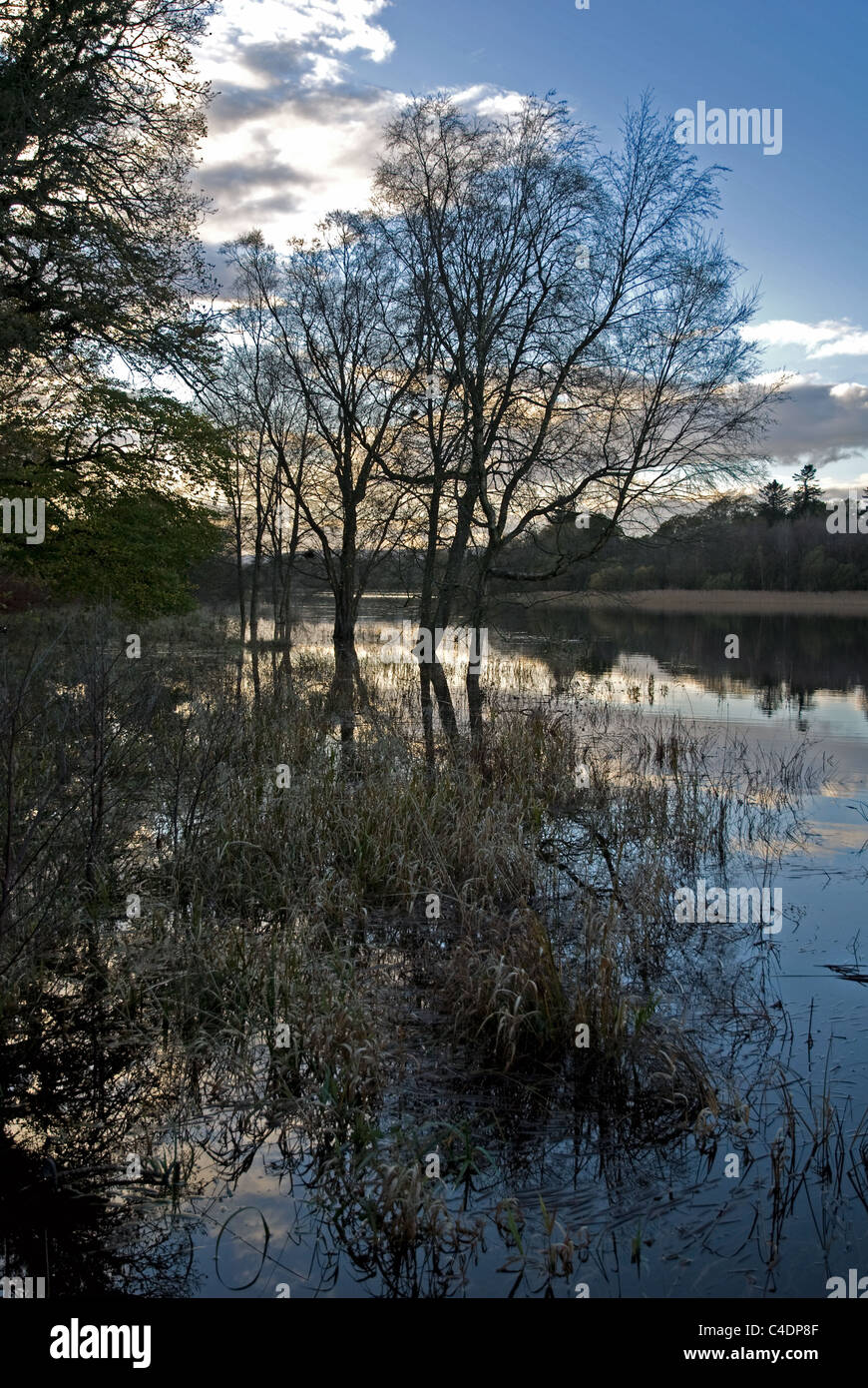 Flooding Northern Ireland High Resolution Stock Photography and Images ...