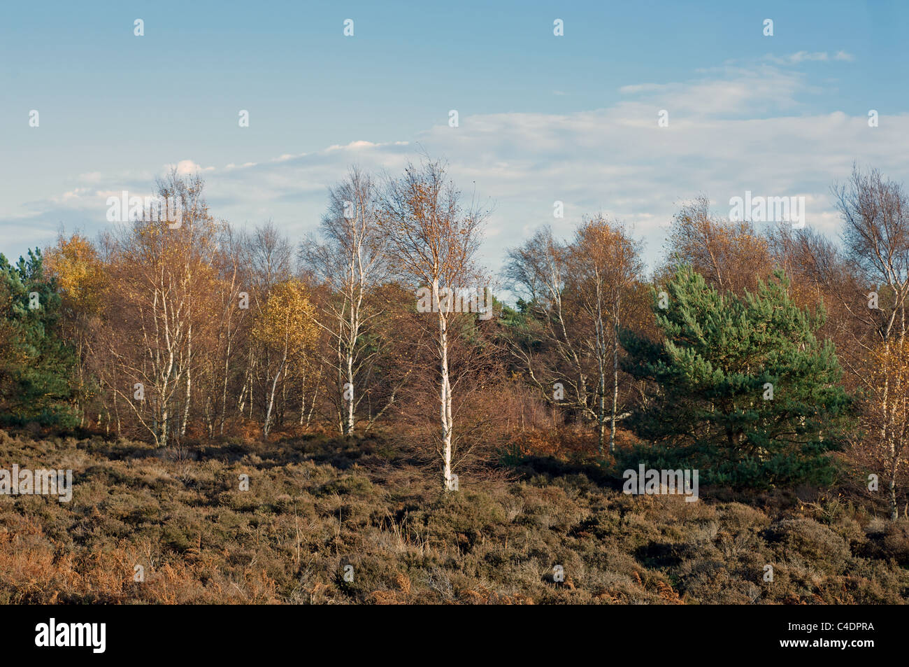Suffolk landscape hi-res stock photography and images - Alamy