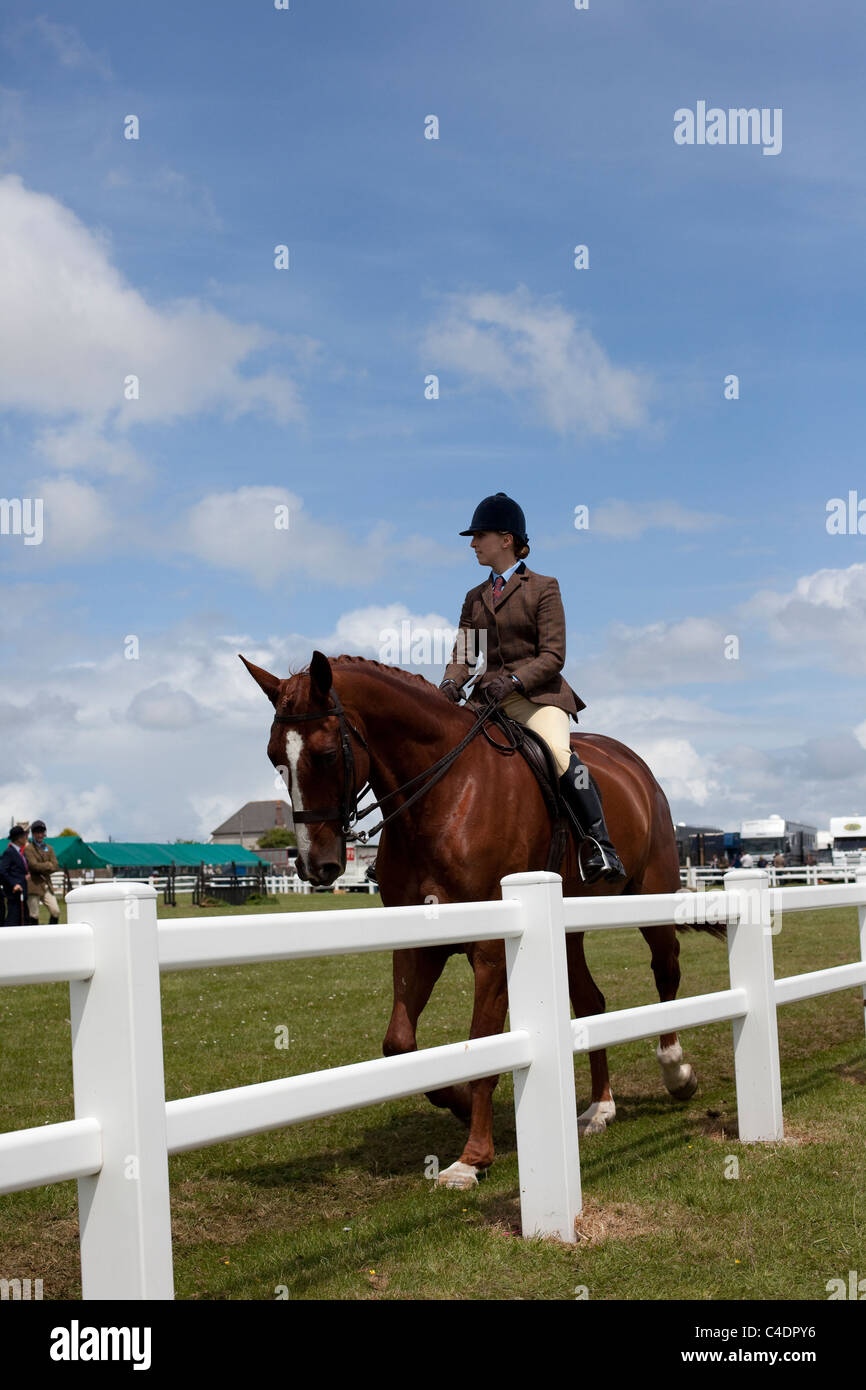 Hunter Horse Photography Rocking M Stables Dallas, TX | MK's Outdoor