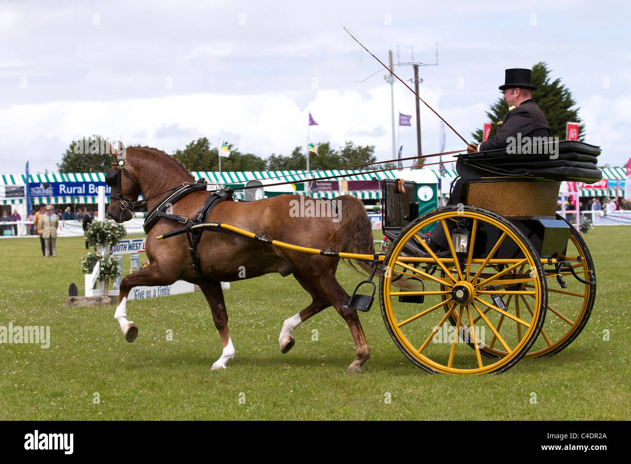 Carriage Display at the 2011 Royal Cornwall Showground Events ...