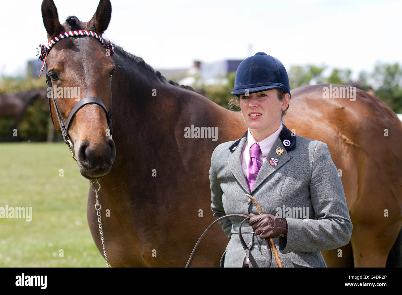 Cornwall county show horse hi-res stock photography and images - Alamy
