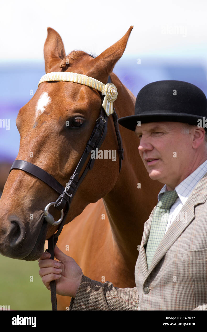 Cornwall county show horse hi-res stock photography and images - Alamy