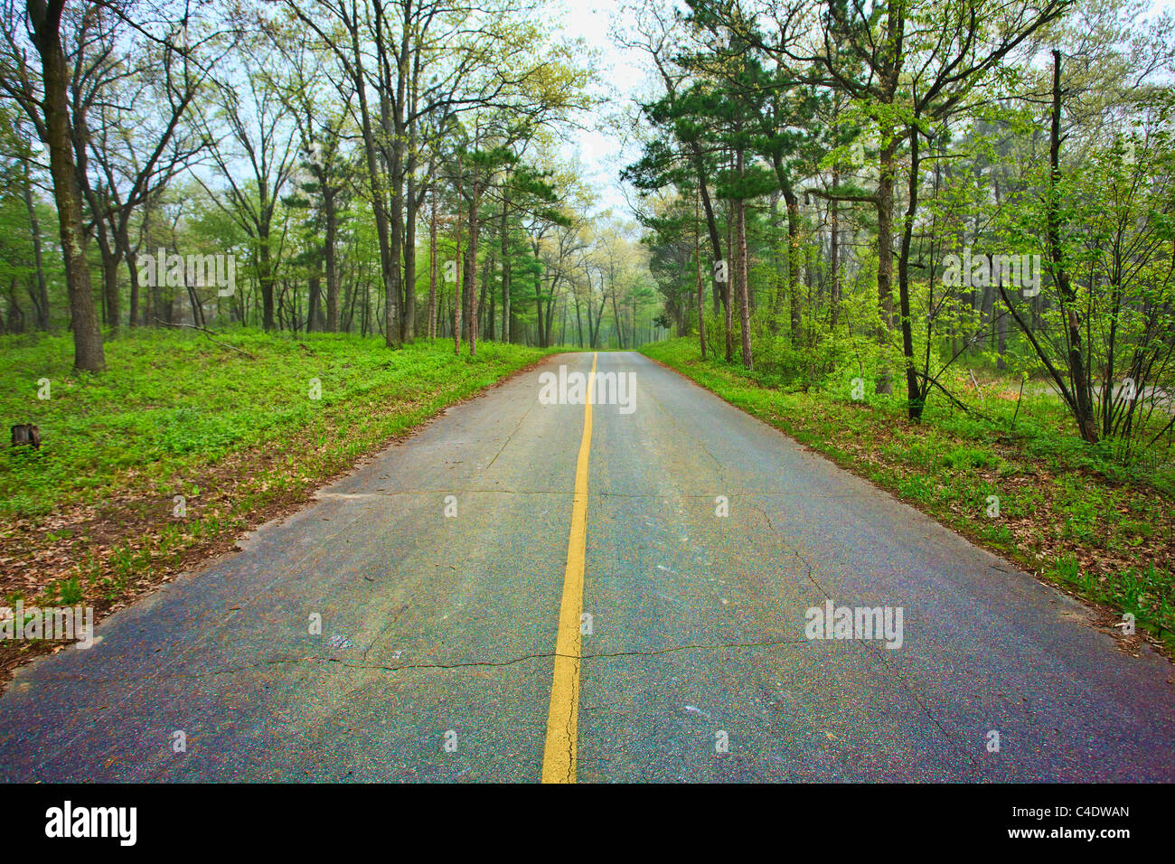 Paved road in forest Stock Photo - Alamy