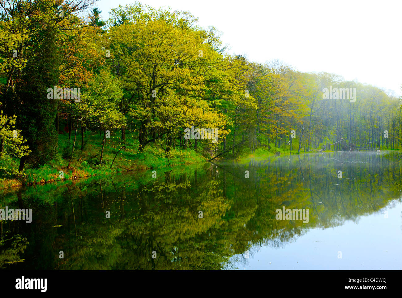 Pinery provincial park hi-res stock photography and images - Alamy