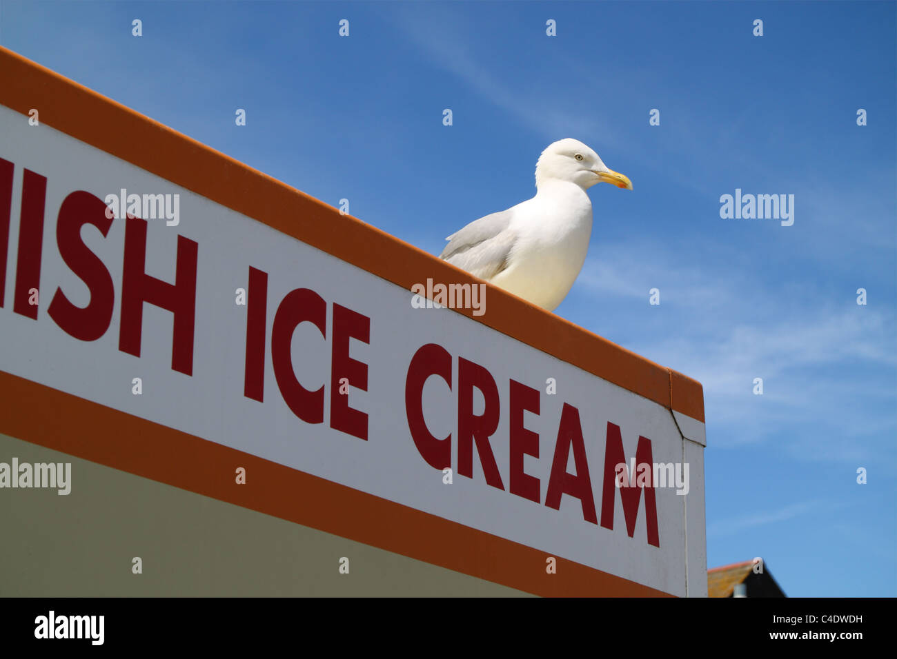 Seagull ice cream hi-res stock photography and images - Alamy