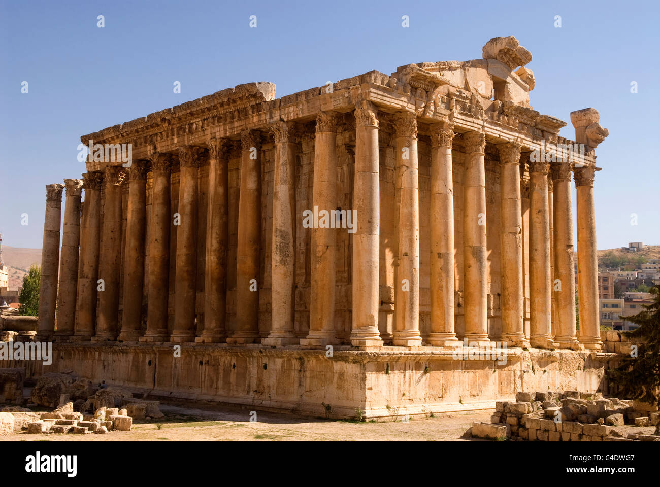 Temple of Bacchus, Baalbek, Bekaa Valley, Lebanon Stock Photo - Alamy