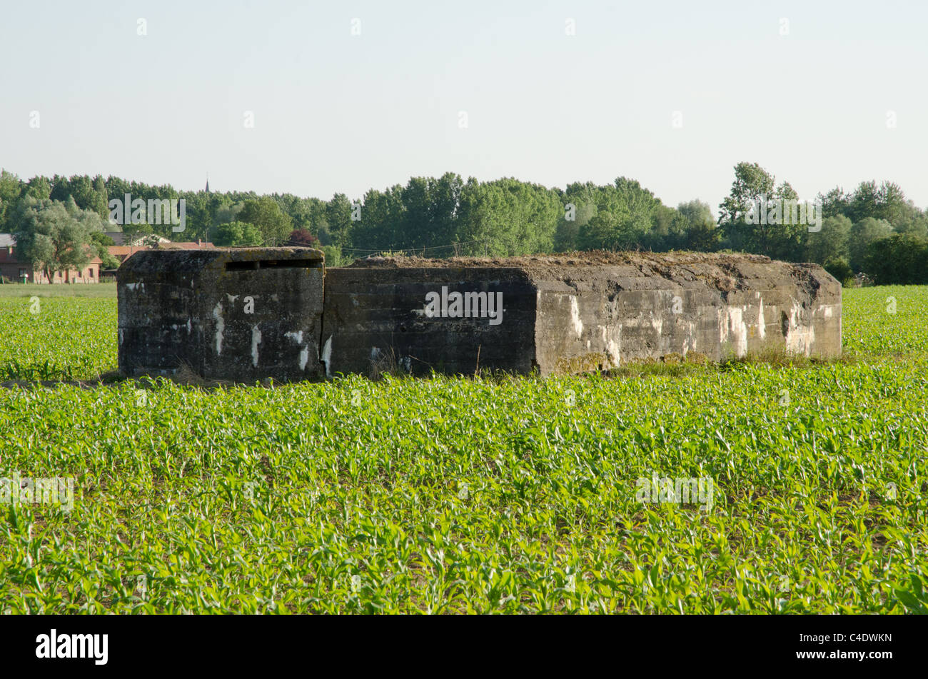 Bunker where Adolf Hitler was stationed in First World War, Fromelles ...