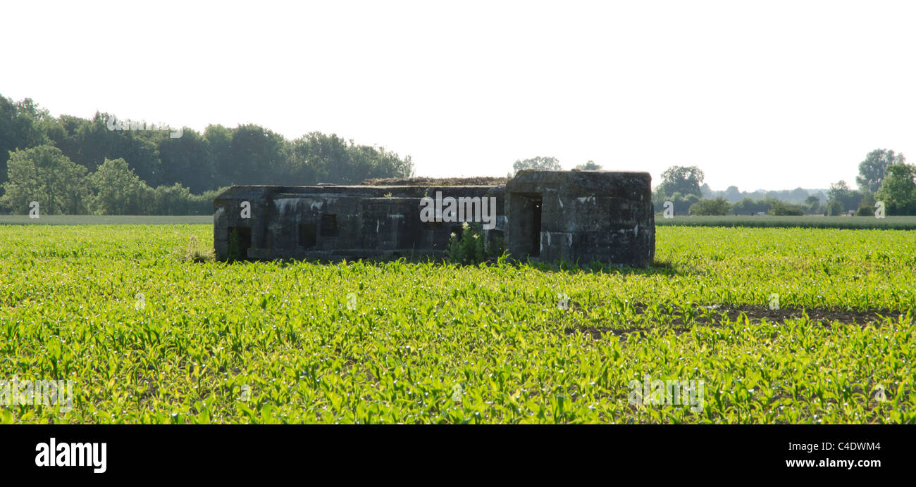 Bunker adolf hitler stationed in hi-res stock photography and images ...