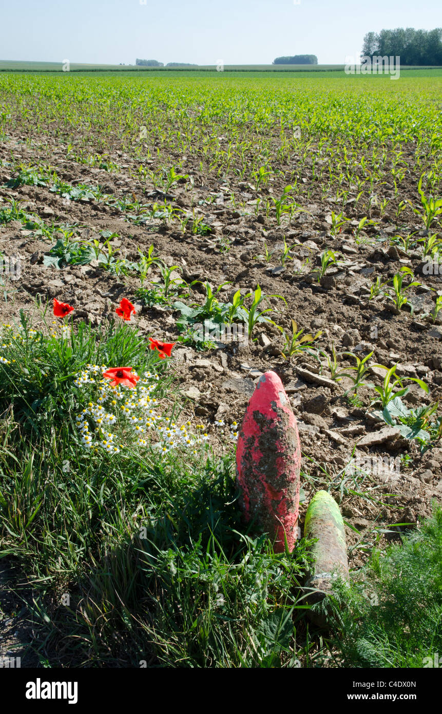First world war battlefield poppies hi-res stock photography and images ...