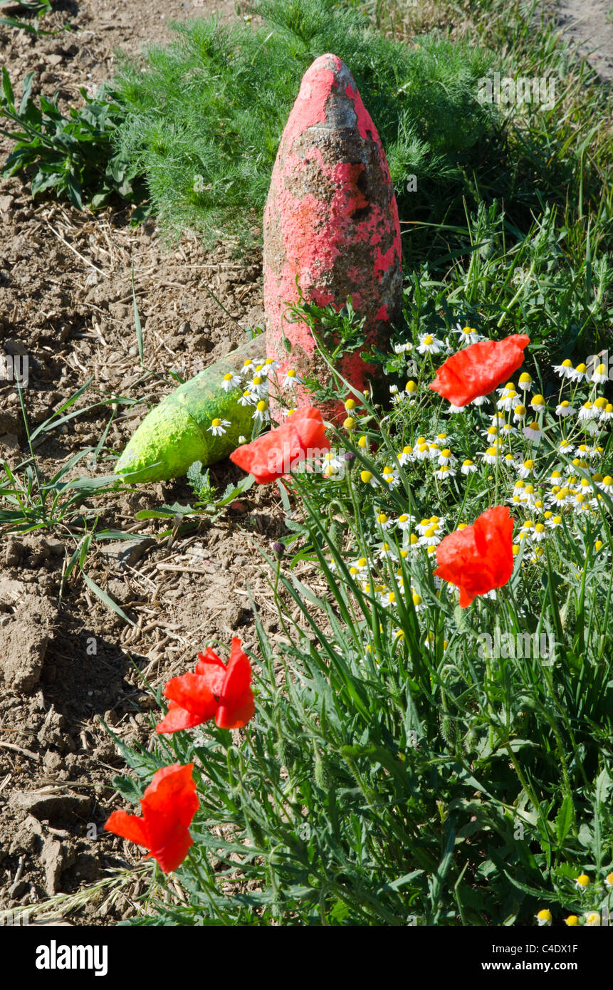 World War One shells, poppies by roadside, near Cambrai, France Stock ...