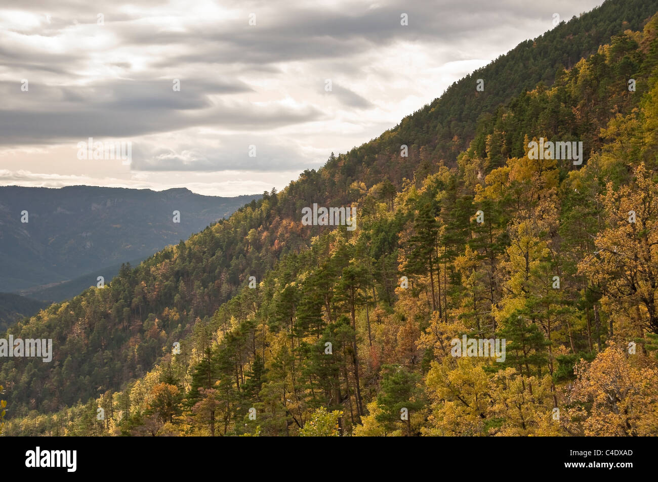 Autumn forest in Aragüés del Puerto, Huesca, Pyrenees, Spain Stock ...