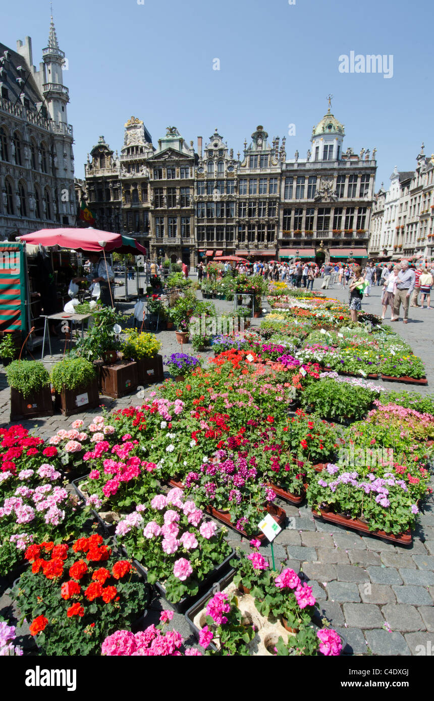 Flower market in Grand Place in Brussels Stock Photo - Alamy
