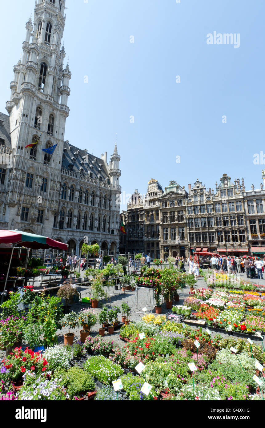 Flower market in Grand Place in Brussels Stock Photo - Alamy