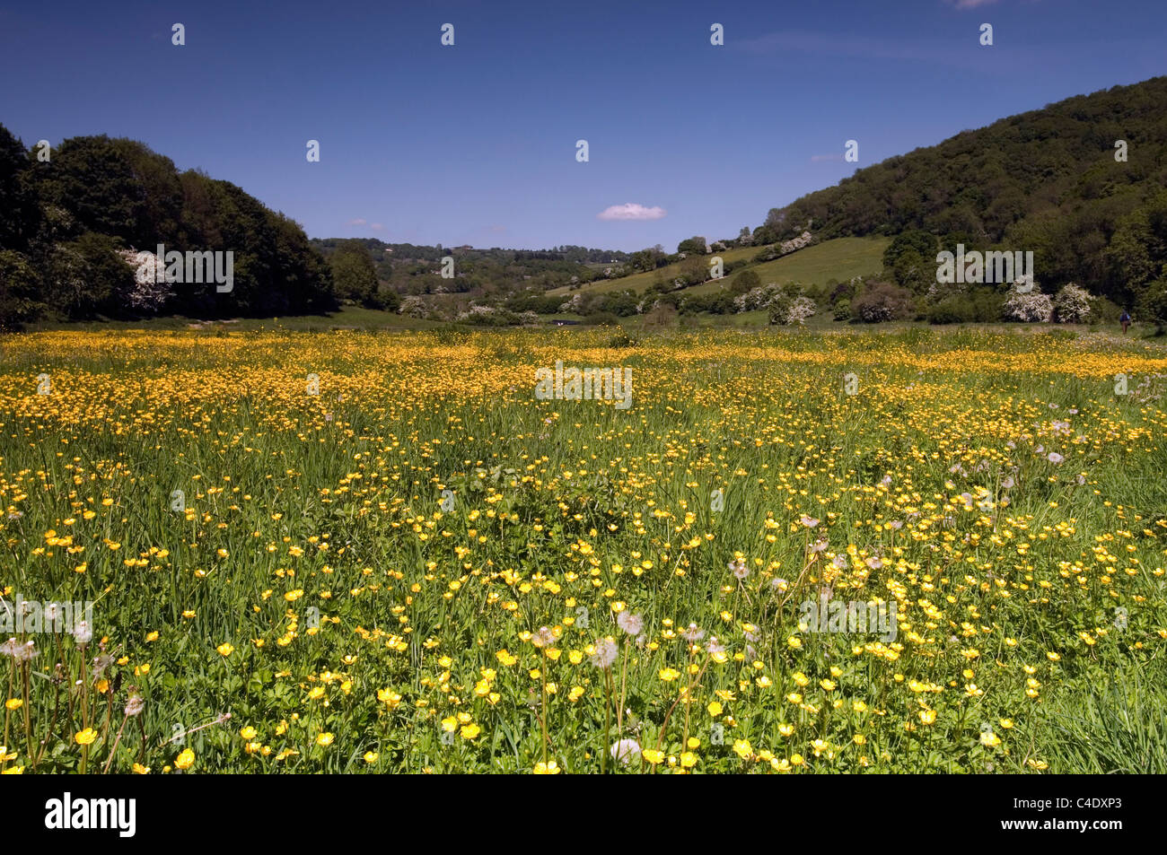 Welsh backgrounds hi-res stock photography and images - Alamy