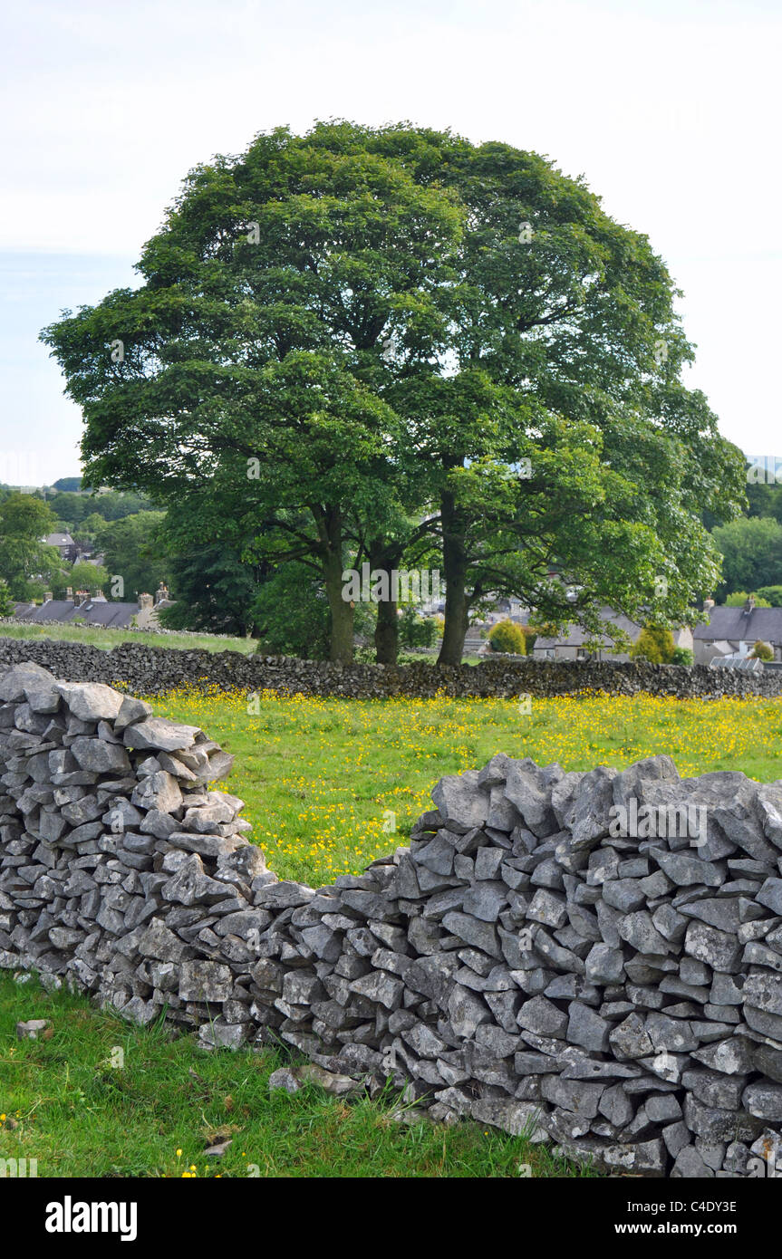 Tideswell, Derybshire, England: traditional dry stone walls Stock Photo ...