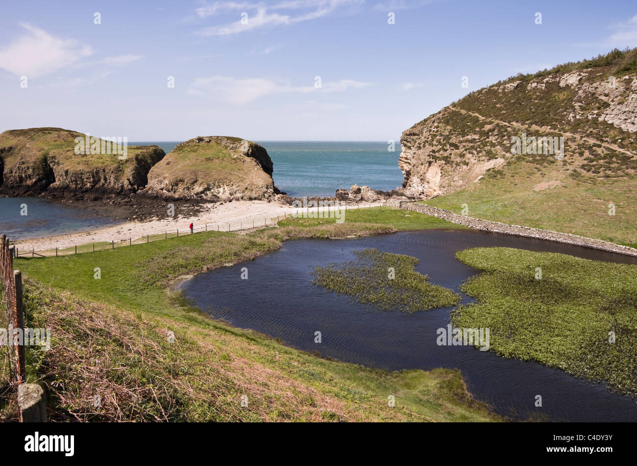 View to Ynys y Fydlyn and freshwater pool on the coast. Isle of ...